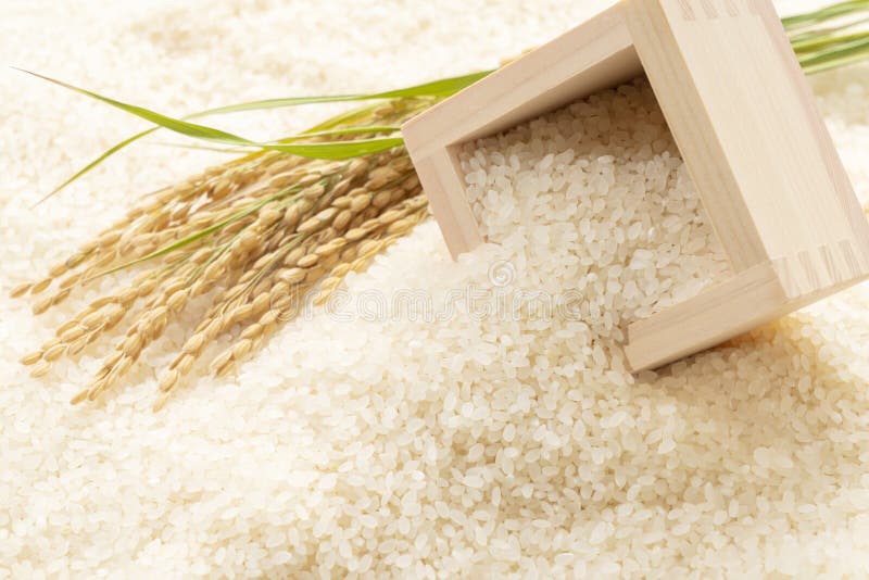 White Rice and Japanese Masu and Rice Ears Stock Photo - Image of ...