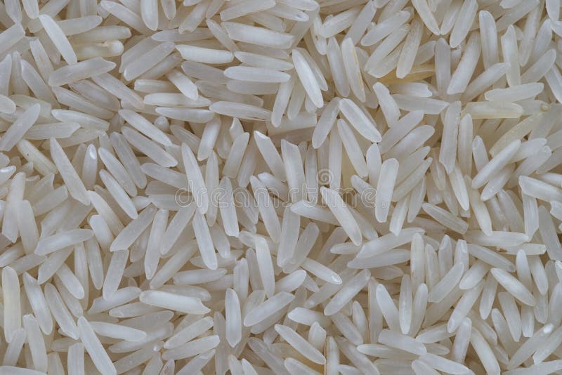 White Rice stock photo. Image of meal, agriculture, macro - 86020088