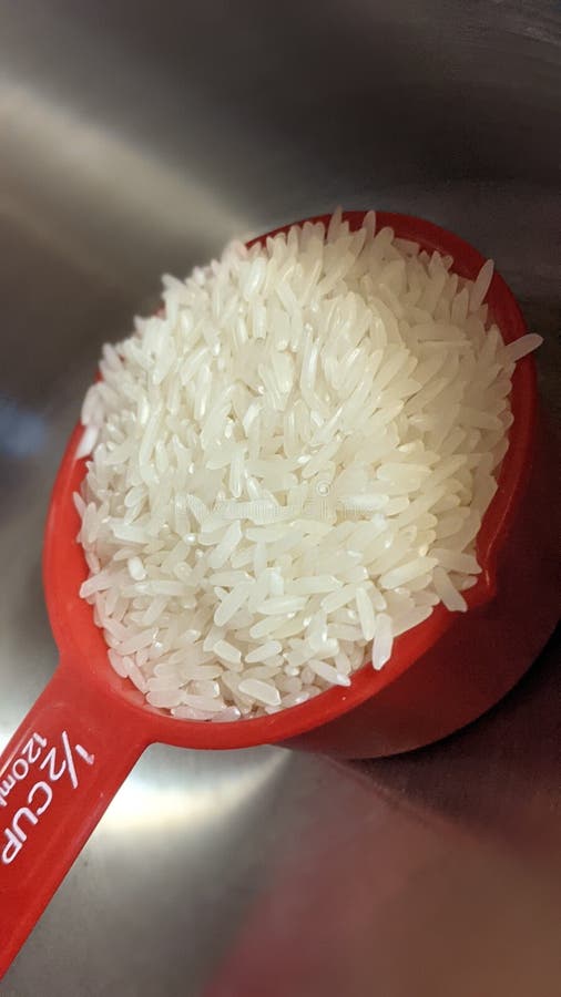 White Rice in a Measuring Cup Stock Image - Image of dish, white: 235598275