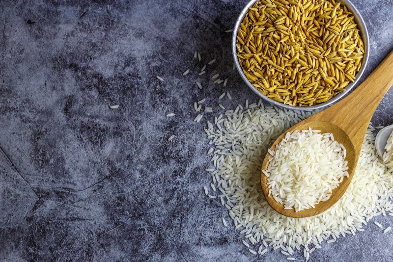 White Rice and Paddy on the Table Stock Photo - Image of asian, natural ...