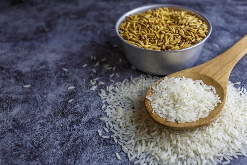 White Rice and Paddy on the Table Stock Photo - Image of nature, health ...