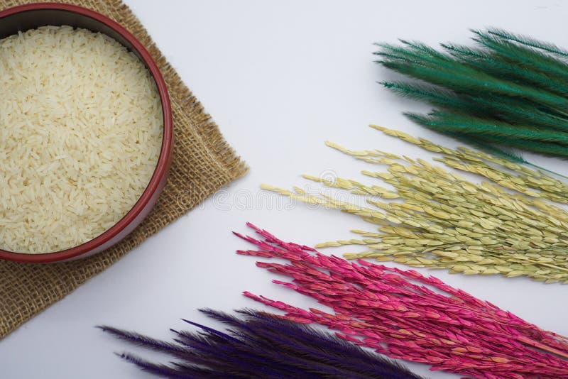 White Rice and Paddy on a White Background Stock Photo - Image of bowl ...
