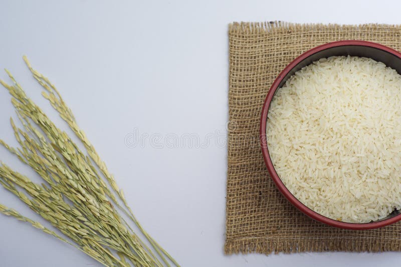 White Rice and Paddy on a White Background Stock Photo - Image of ...