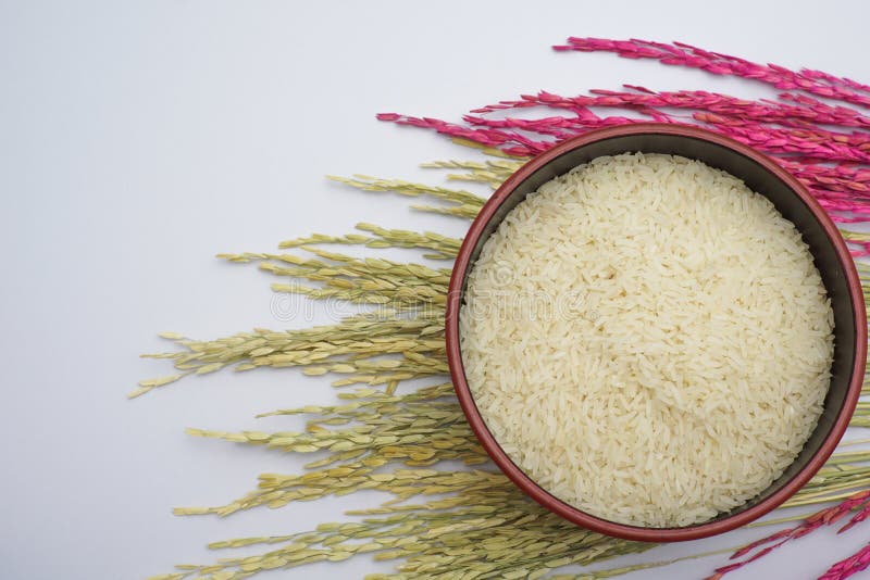 White Rice and Paddy on a White Background Stock Photo - Image of bowl ...