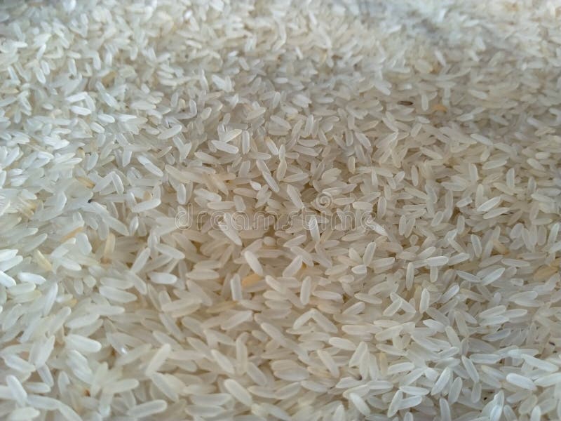 White rice photo stock photo. Image of textile, breakfast - 266784332