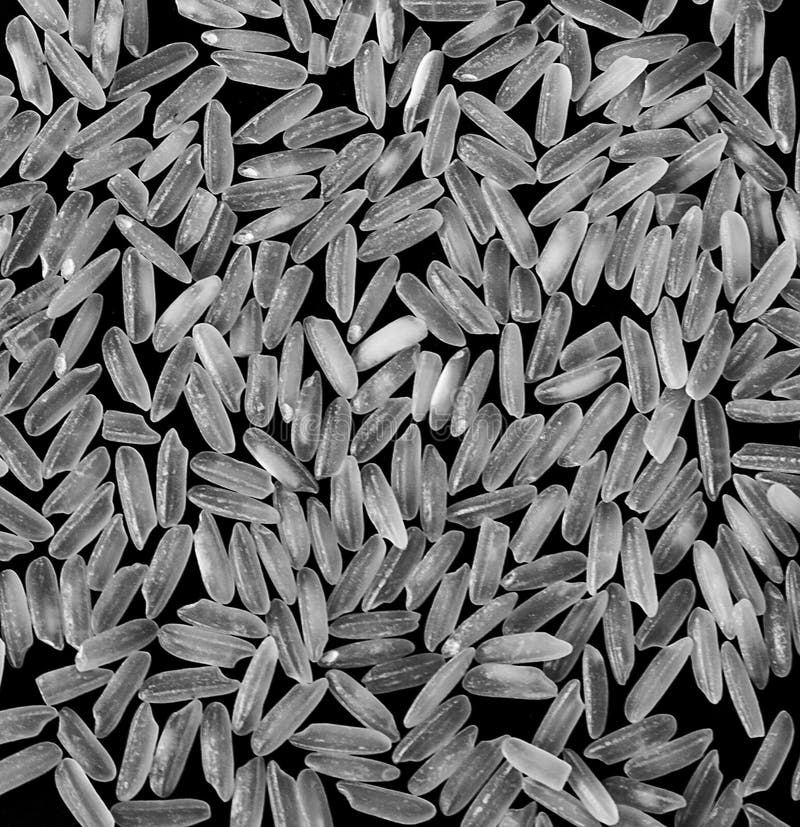 White Rice Pile on Black Background Stock Image - Image of east, food ...