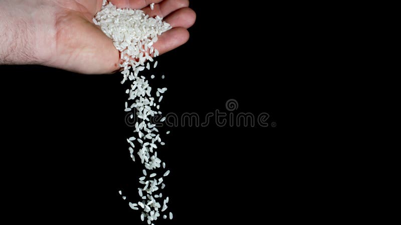 White Rice Poured into a Hand Stock Image - Image of hand, harvest ...