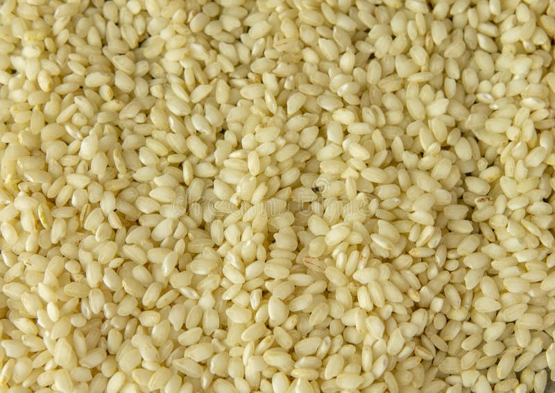 White Rice Raw Italian Rice Grains As Background Stock Photo - Image of ...