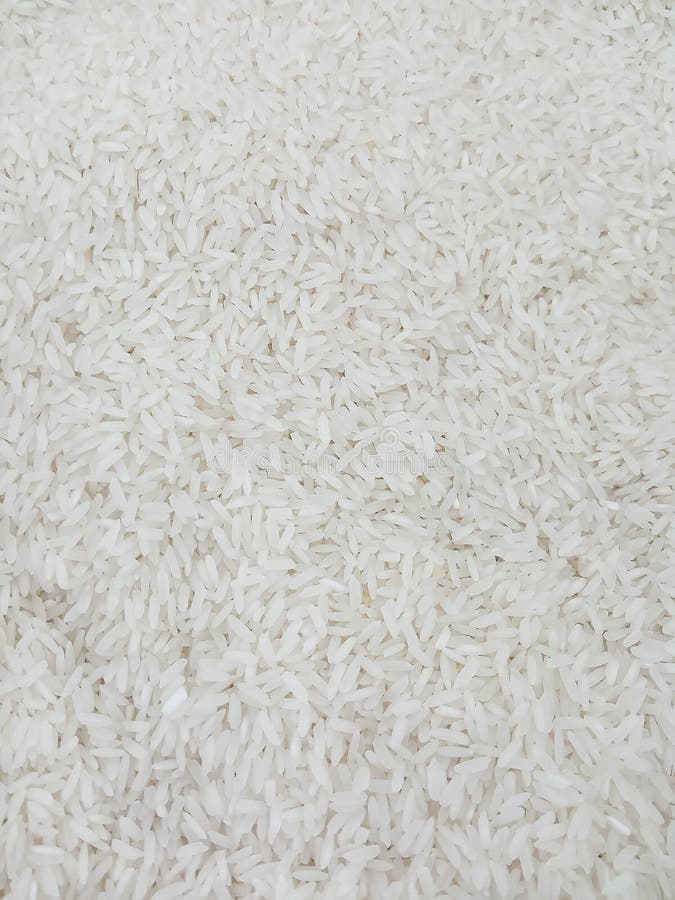 White Rice is Scattered on the Ground. Background or Pad of Rice Stock ...