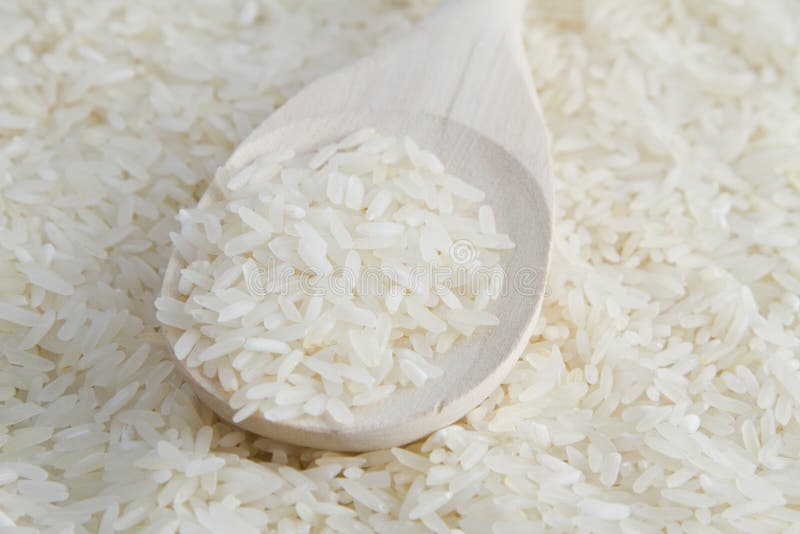 White Rice stock photo. Image of recipe, seeds, diner - 42654206