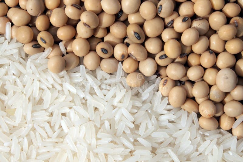 Soybeans and white rice stock photo. Image of cook, rice - 57096730