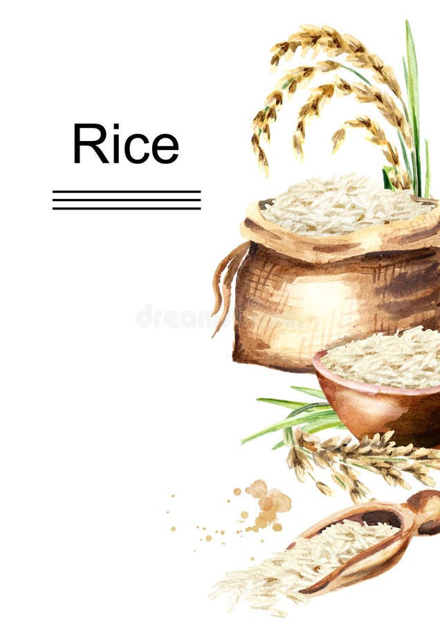 Rice Bag Hand Drawn Stock Illustrations – 202 Rice Bag Hand Drawn Stock ...