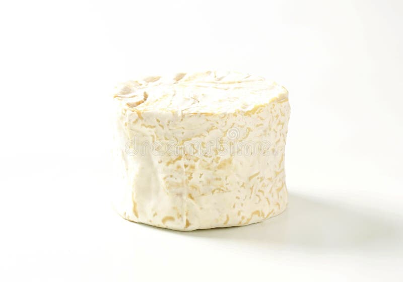 White rind cheese stock photo. Image of soft, edible - 32519480