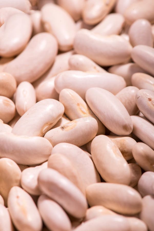 Ripe Haricot Beans with Seed and Leaves Isolated Stock Image - Image of ...