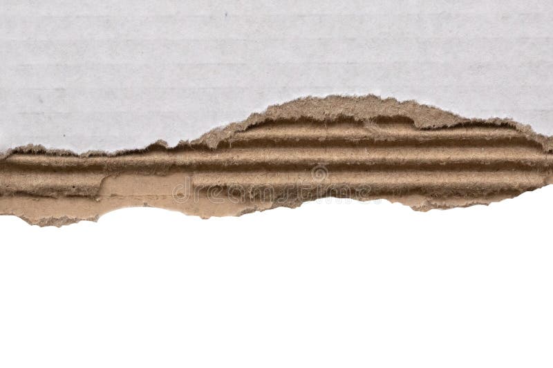 585 Transparent Page Border Stock Photos - Free & Royalty-Free Stock ...