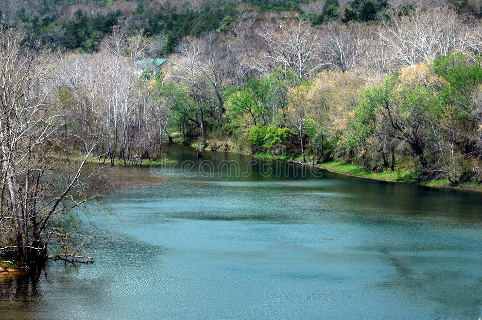 White River stock photo. Image of landscape, forest, stream - 2342252