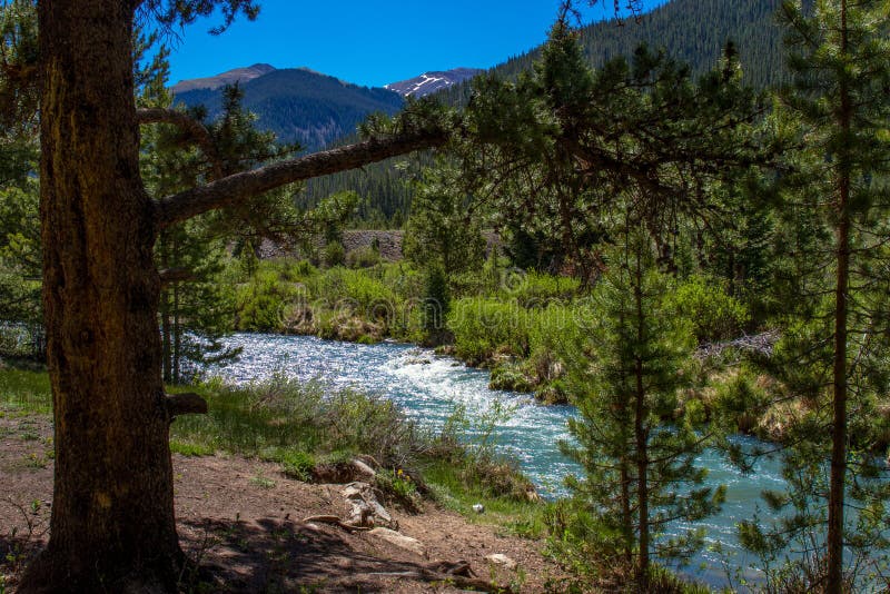 The Snake River Flows through Mountains in Colorado Stock Image - Image ...