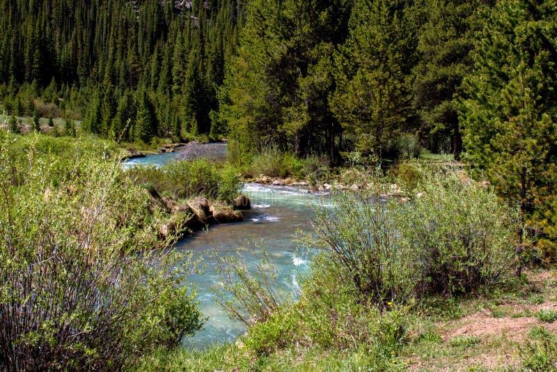 The Snake River Flows through Mountains in Colorado Stock Photo - Image ...