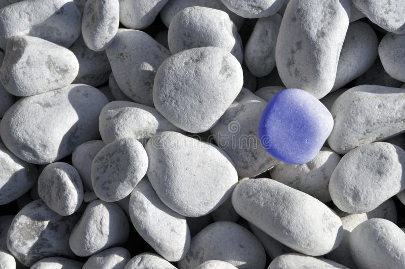 White River Stones with One Blue Stone - Concept of Difference and ...
