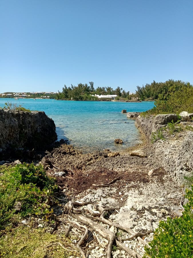 White Rock Bay stock photo. Image of building, green - 278302072