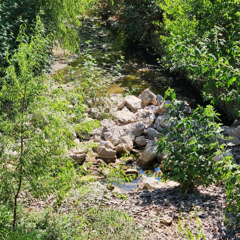 White Rock Creek at Harry S Moss Park in Dallas, Texas Editorial Image ...