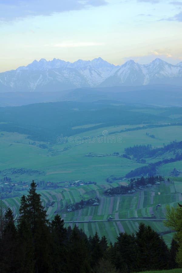 White Rock and Forest at Spring in Pieniny Stock Image - Image of tree ...