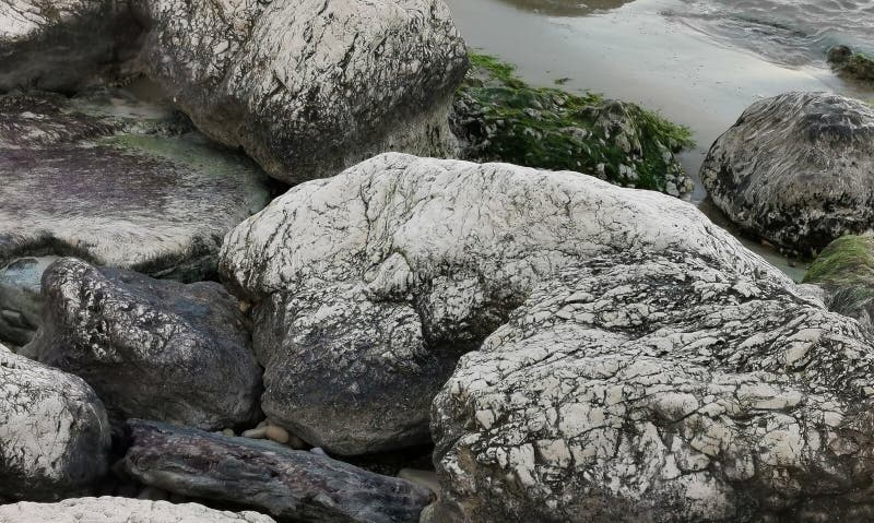 White Rocks on the Beach Covered with Algae and Washed by the Sea Stock ...