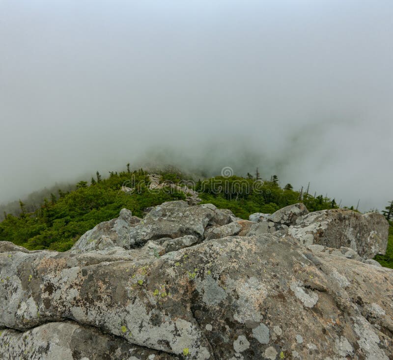 White Rocks Covered with Moss in the Middle of a Forest Stream. Stock ...
