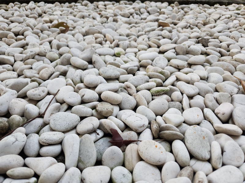White rocks floor at dawn stock image. Image of soil - 219657725