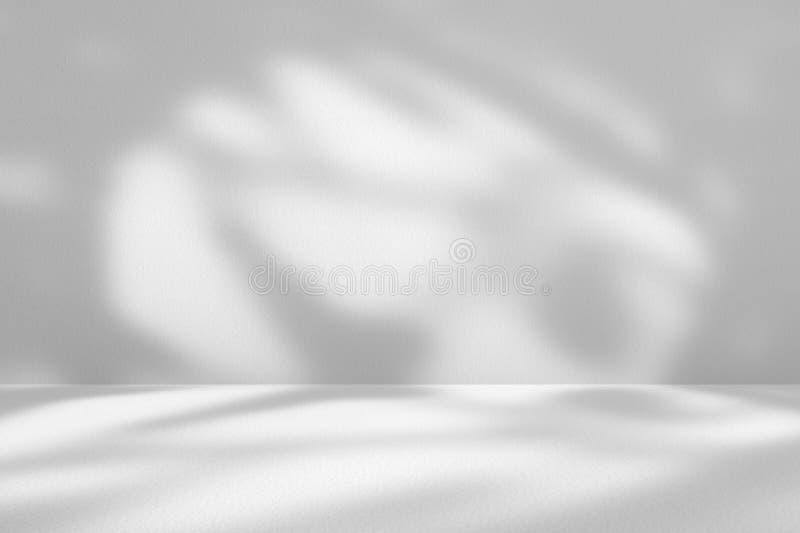 White Room with Tree Branch Shadow on Concrete Wall Texture Background ...
