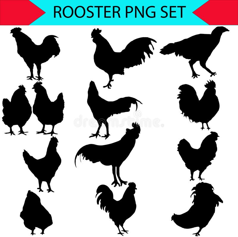 A White Rooster Stands on a Green Lawn and Looks Forward Stock ...