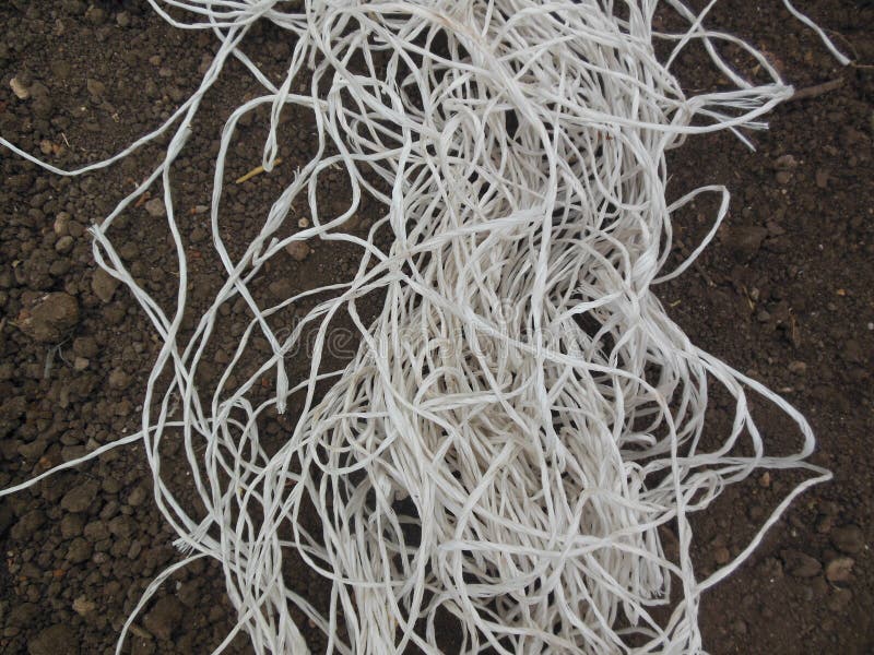 Rope Bunch Closed stock image. Image of bunched, bunch - 120087549