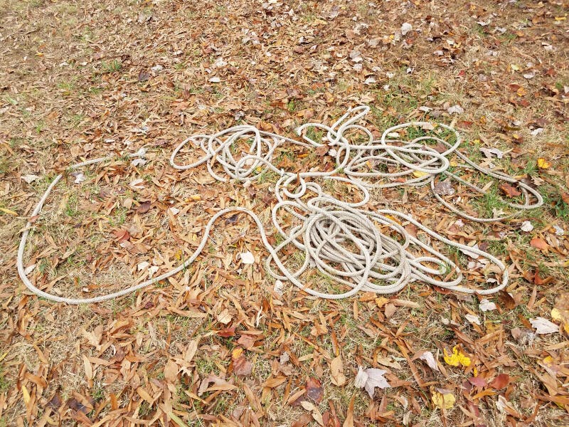 White Rope or Cord on Grass or Lawn with Fallen Leaves Stock Photo ...