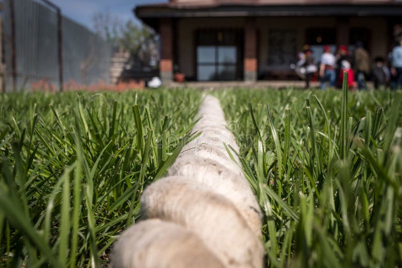 White Rope on a Green Lawn in the Garden Stock Image - Image of detail ...