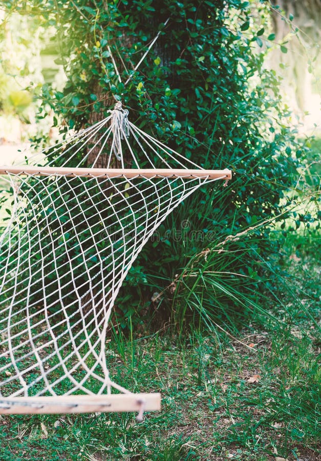 White Rope Hammock Hangs between Trees, Surrounded by Lush Foliage in ...