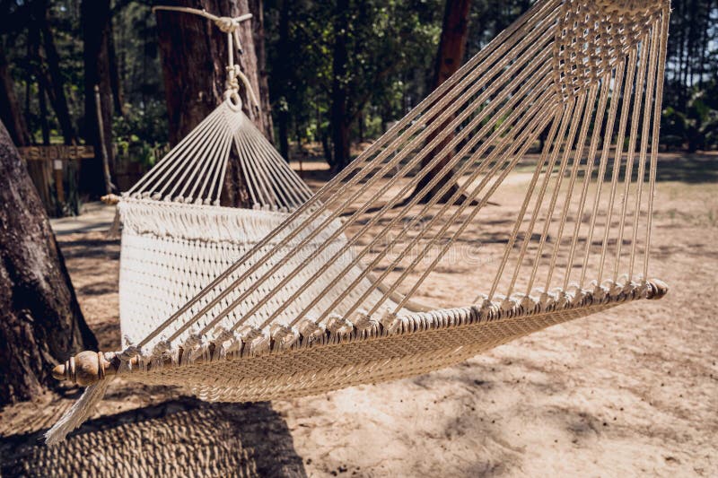 A White Rope Hammock Swings between Two Trees Stock Photo - Image of ...
