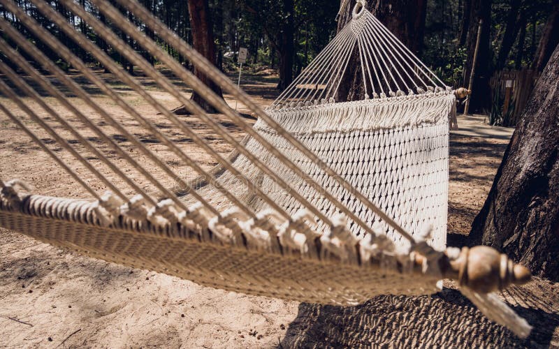 A White Rope Hammock Swings between Two Trees Stock Image - Image of ...