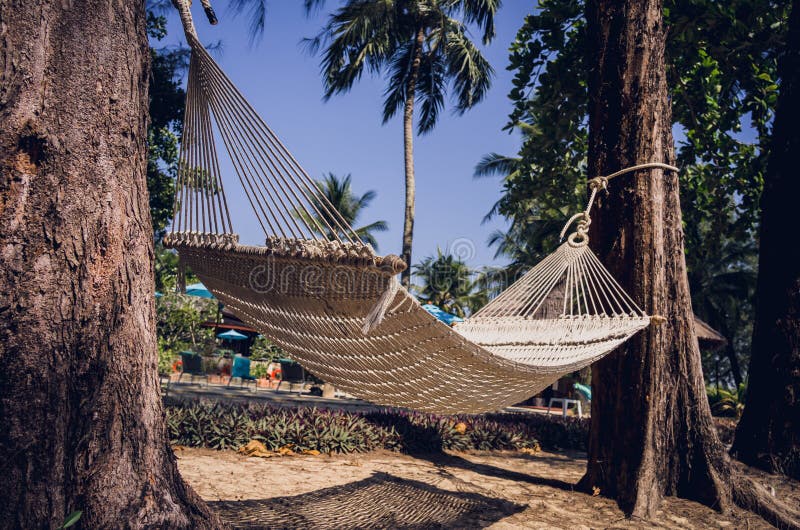 A White Rope Hammock Swings between Two Trees Stock Photo - Image of ...