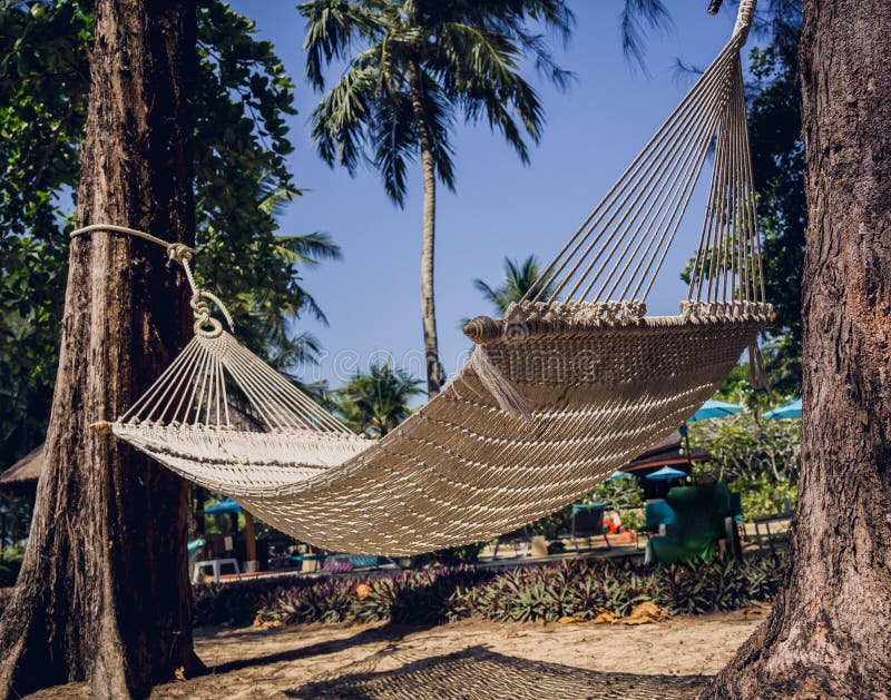 A White Rope Hammock Swings between Two Trees Stock Photo - Image of ...