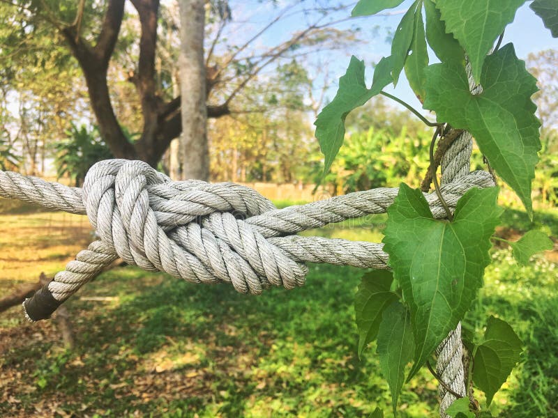 4,472 White Rope Long Photos - Free & Royalty-Free Stock Photos from ...