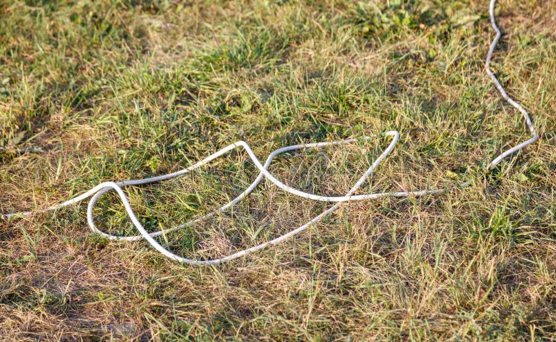 A White Rope is Laying on the Grass Stock Image - Image of thin, brown ...
