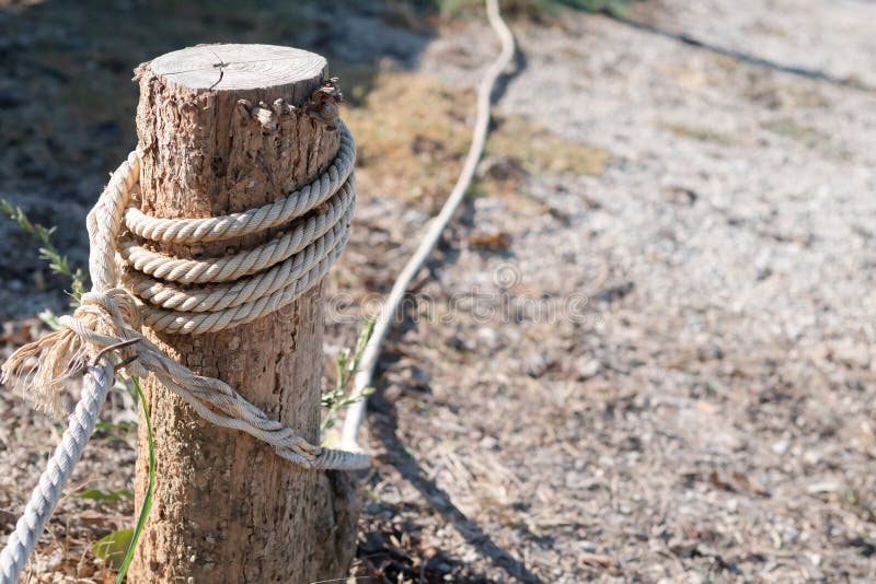 164 Rope Tied Around Tree Stock Photos - Free & Royalty-Free Stock ...