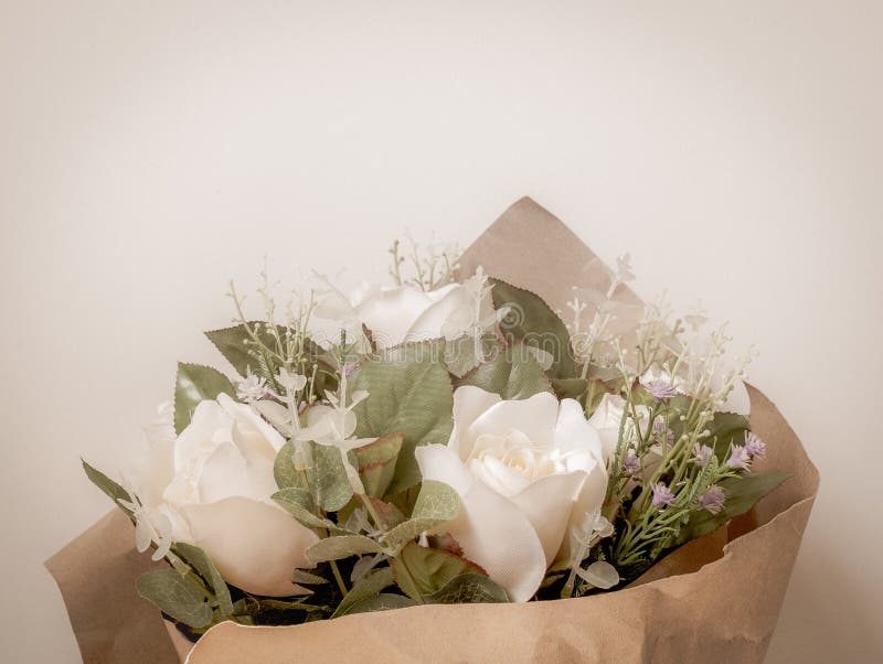 White Rose stock image. Image of bloom, beauty, fresh - 118932893