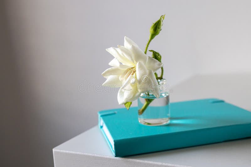 A White Rose is on a Blue Notepad on White Table. Place for Text. Ready ...