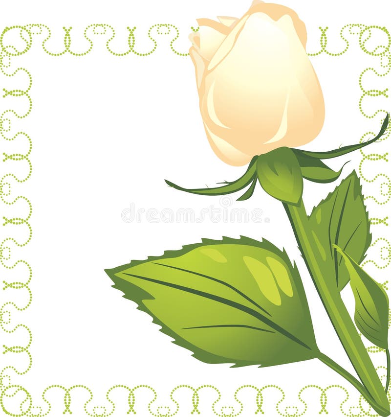 White Rose in the Decorative Frame Stock Vector - Illustration of decor ...