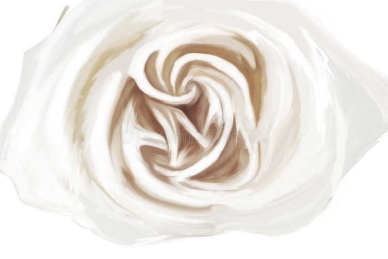 White Rose Drawing Picture. Image: 5281708
