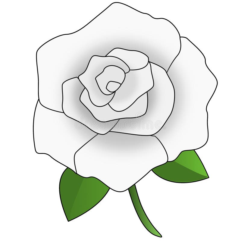 White rose flower isolated stock photo. Illustration of nose - 285484406