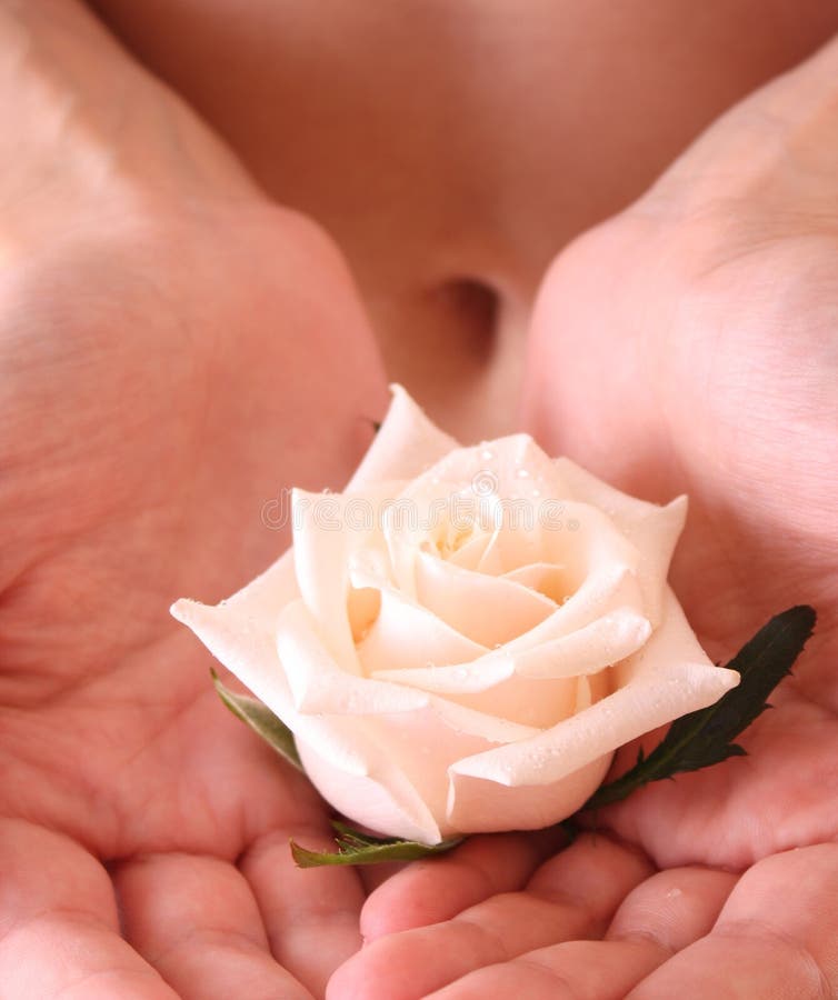 Belly button tree stock image. Image of belly, rustic - 78589533