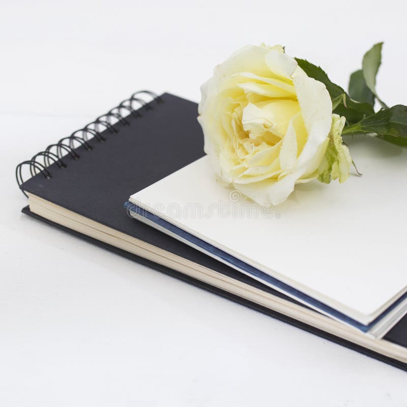 White Rose Lies on an Open English Book Stock Photo - Image of ...