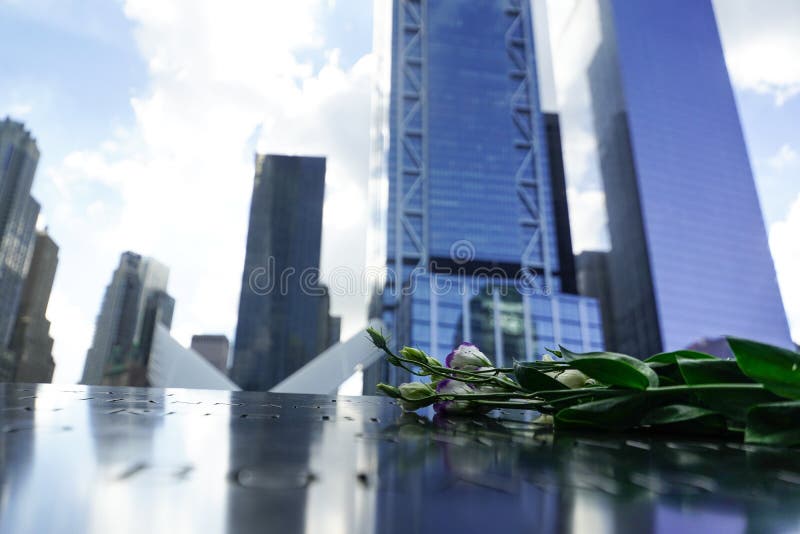 White Rose on the 9 11 Memorial North Pool Editorial Stock Photo ...
